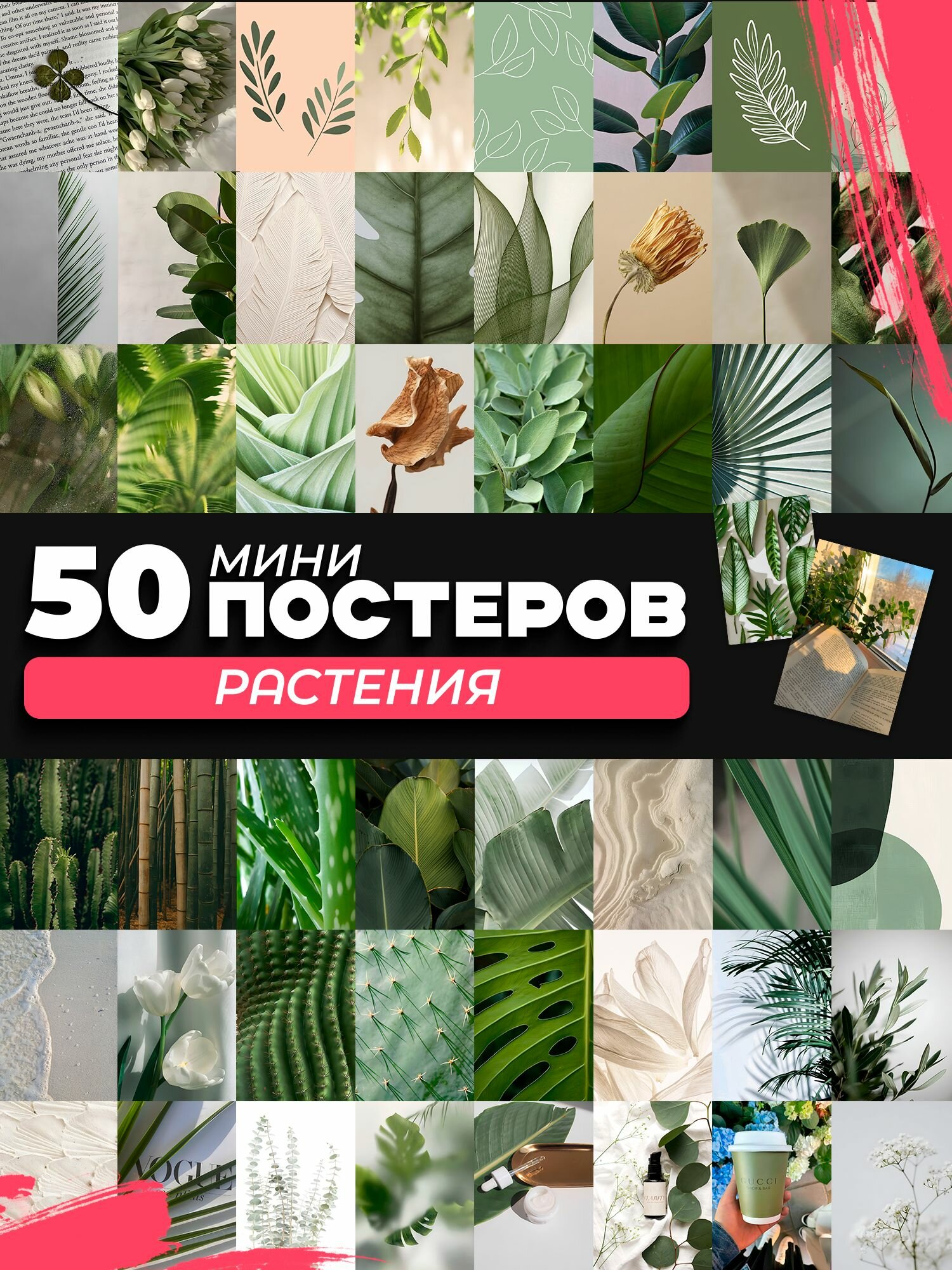 Набор мини постеров эстетика растений