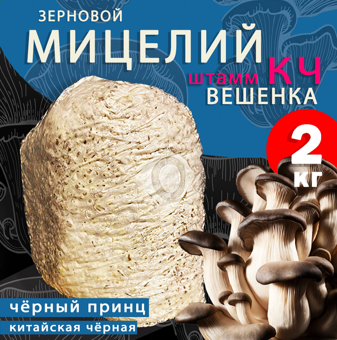 Мицелий вешенки зерновой, семена грибов (штамм Китайский Чёрный) - 2 кг