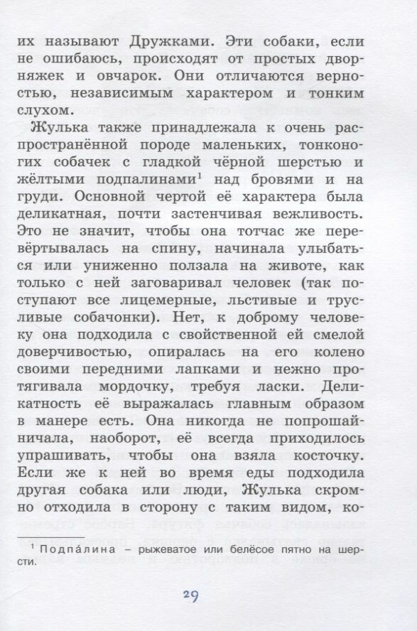 Белый пудель — фото 1