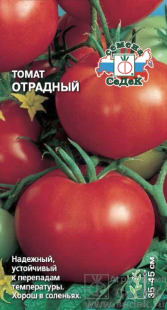 Семена Томат Отрадный 0,1г Дет Ранние (Седек)