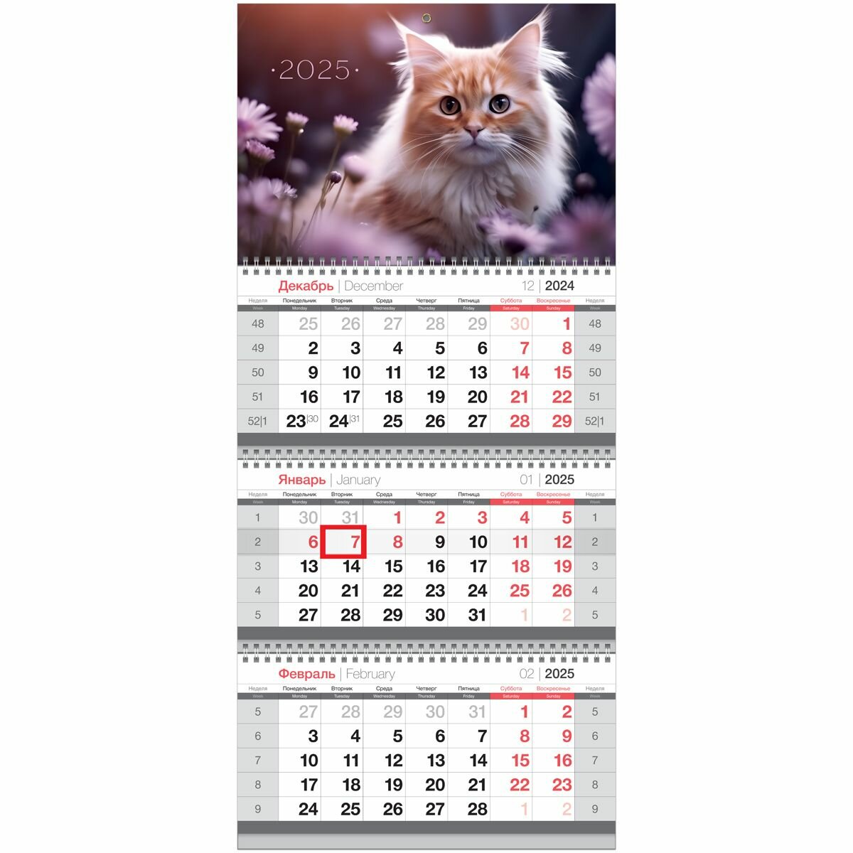 5 шт. Календарь квартальный 3 бл. на 3 гр, 295*660 мм BG "Котик", с бегунком, 2025г.