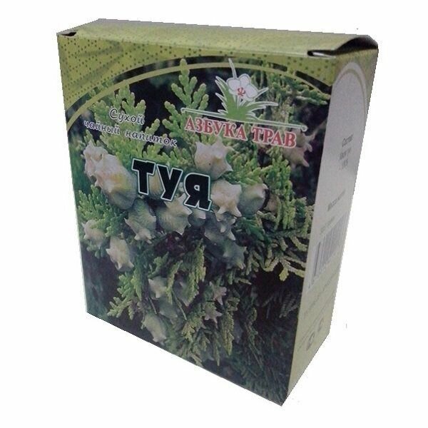 Туя хвоя 30г