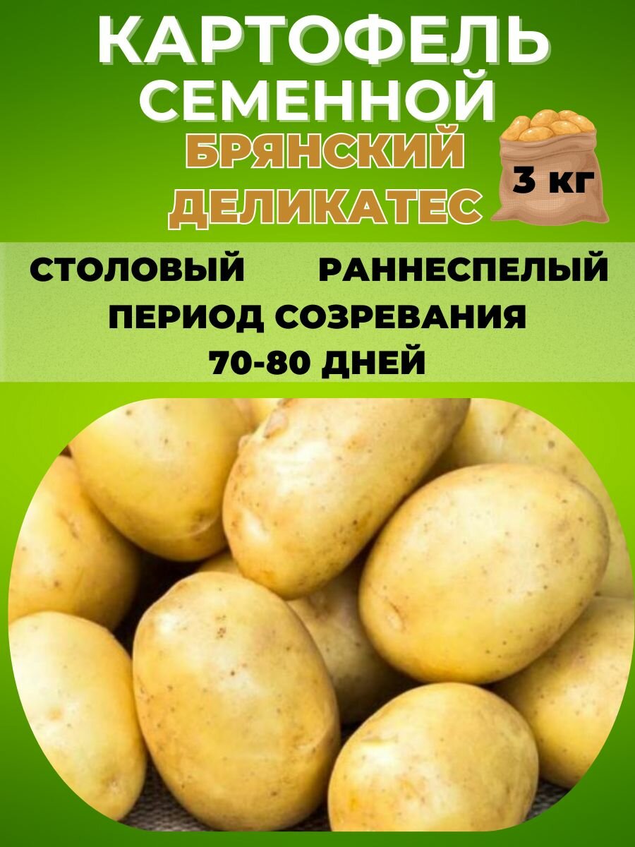 Картофель семенной Брянский деликатес 3 кг