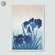 Постер в раме 50х70 Postermarkt, Ohara Koson
