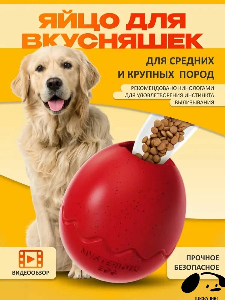 Игрушка для Крупных пород собак Kong