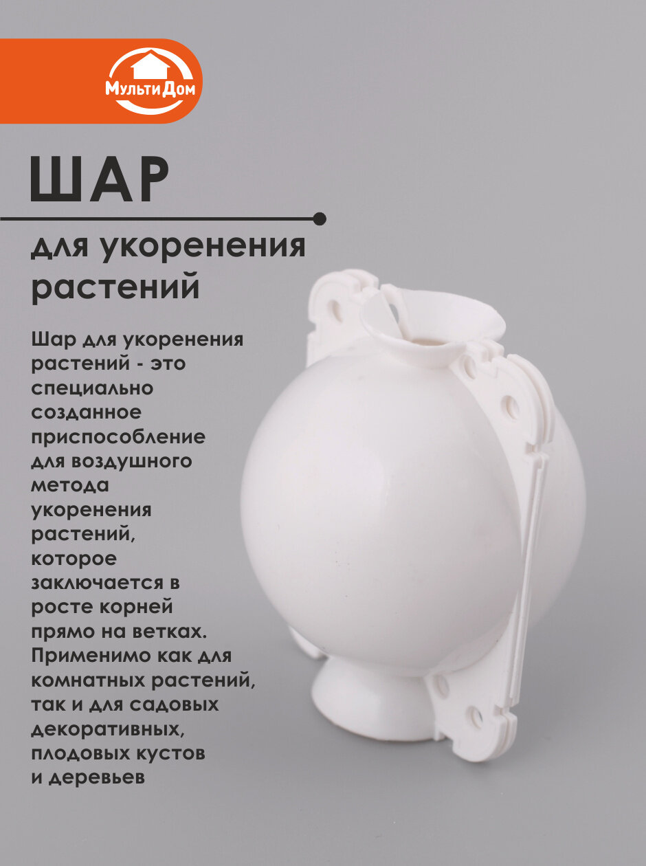 Шар для укоренения растений диаметр 5 см, в ассортименте, 1шт.