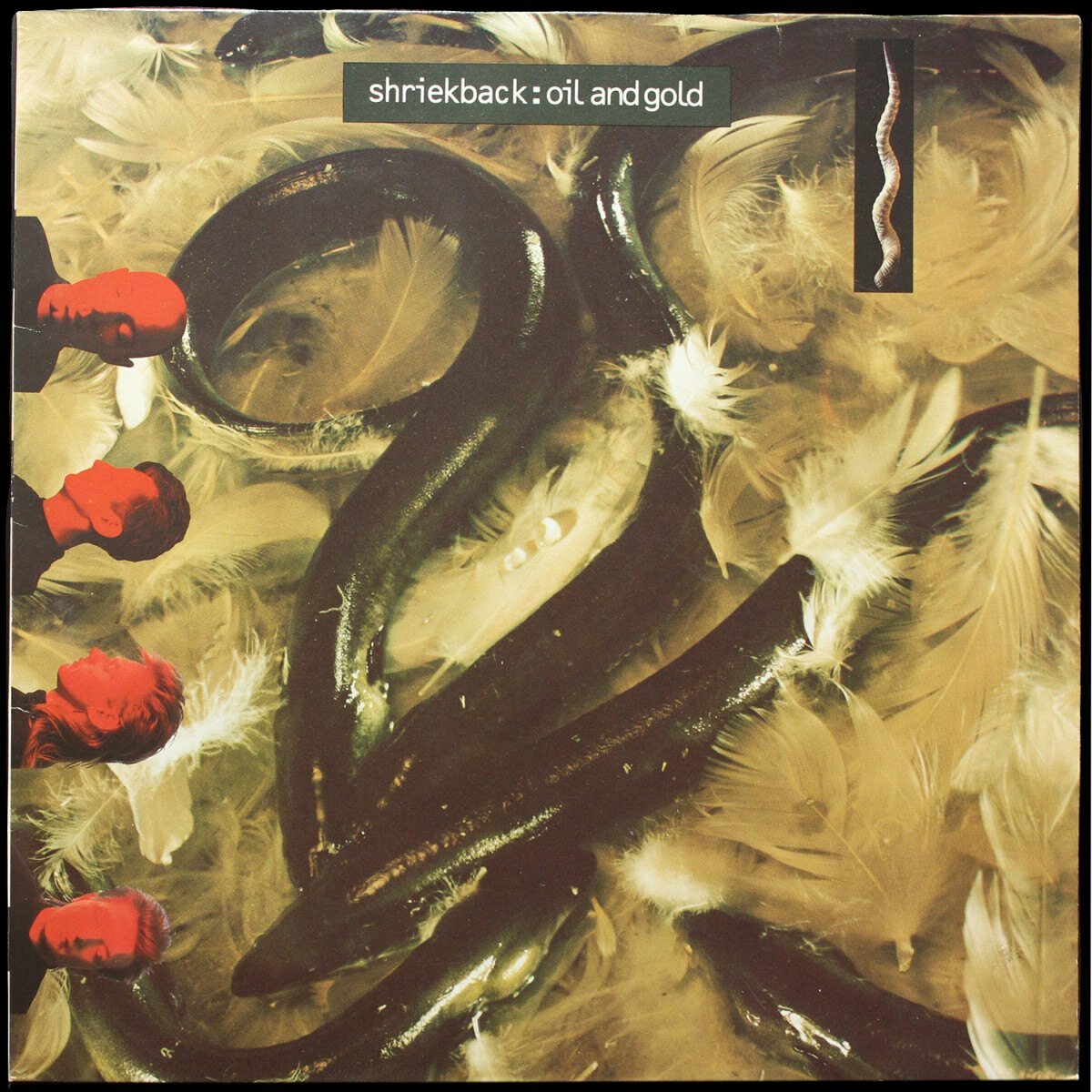Виниловая пластинка Arista Shriekback – Oil And Gold