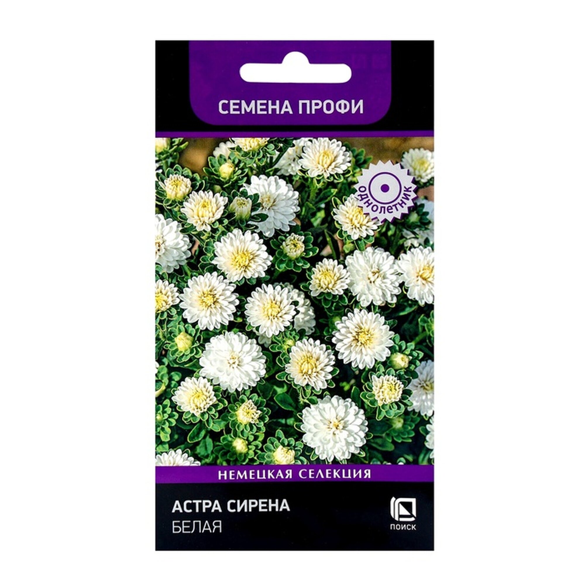 Семена цветов Астра поиск "Сирена Белая", однолетние, белые, 0.05 г