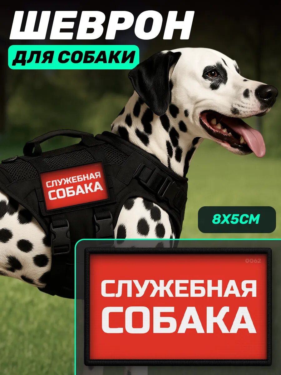 Шеврон на шлейку для собак Служебная собака