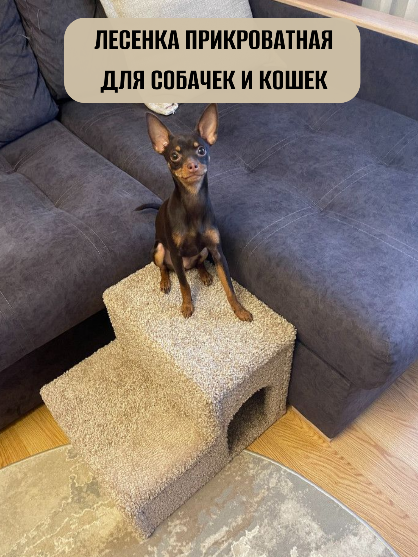 Лесенка для собак и кошек, прикроватная, Моя Котя, ковролин бежевый