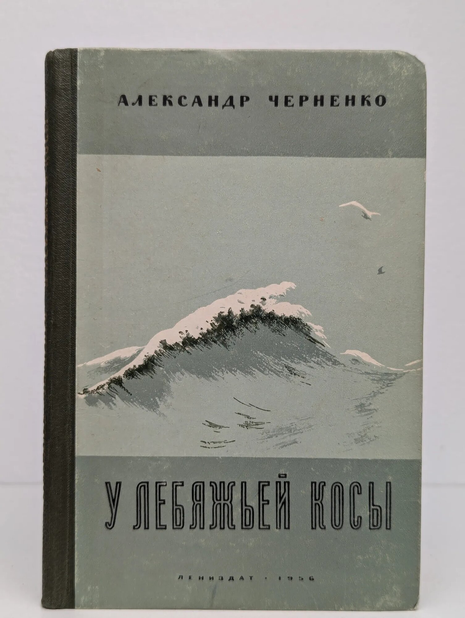У лебяжьей косы Черненко Александр Иванович 1956