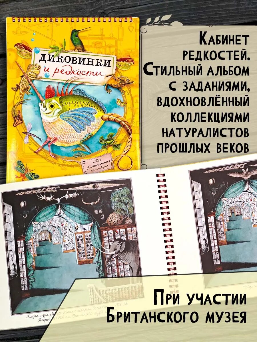 Моя удивительная коллекция. Диковинки и редкости