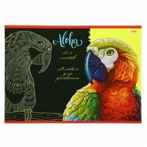Альбом для рисования детский Попугай в узорах 40л, А4