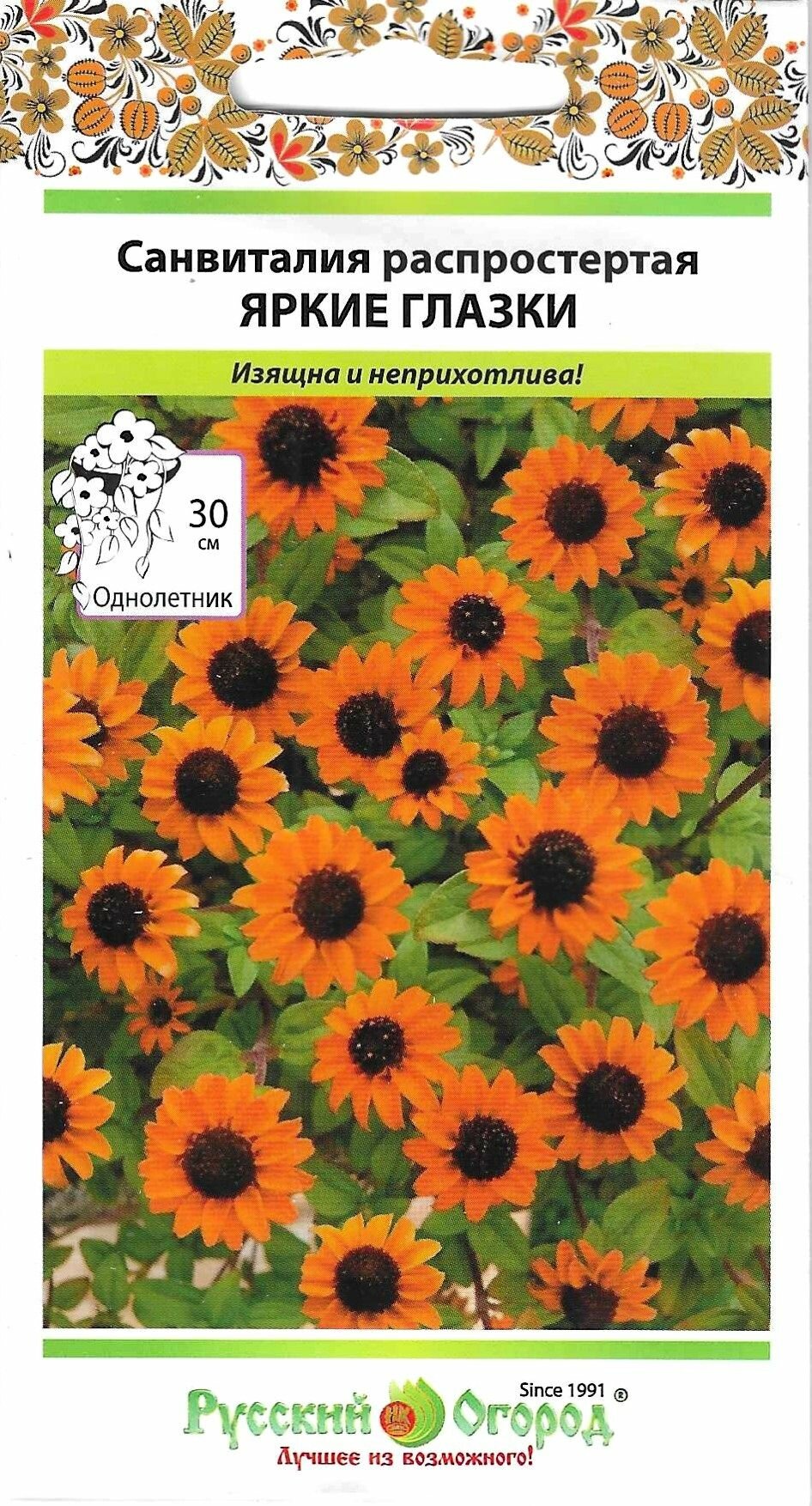 Санвиталия Яркие глазки - не требует ухода и беспрерывно цветет до заморозков