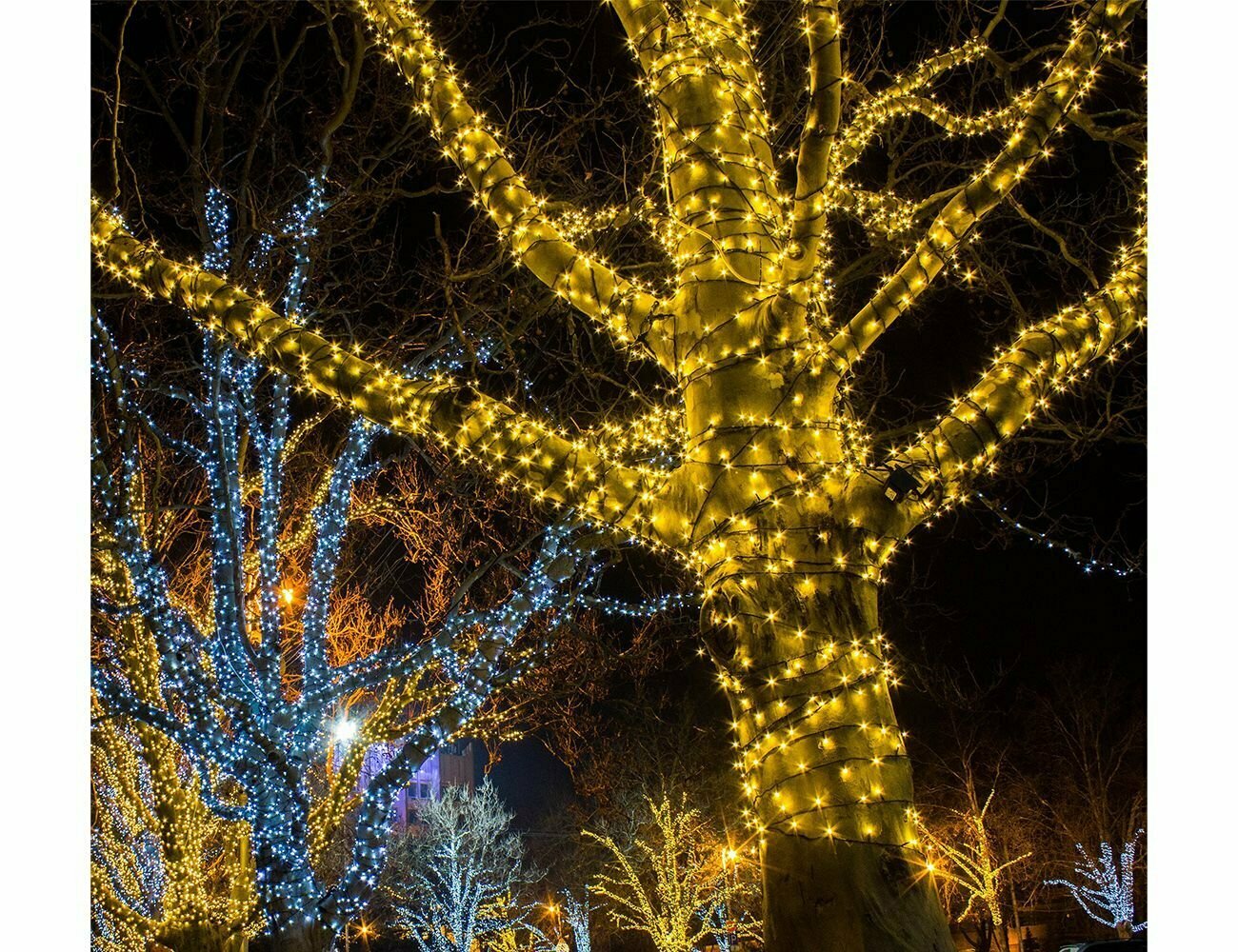 Гирлянды на дерево Клип Лайт Legoled 30 м, 225 желтых LED ламп, черный каучук, IP54, BEAUTY LED