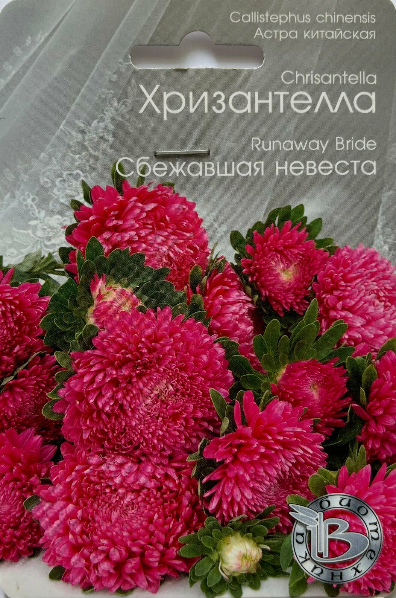 Семена Астры китайской Хризантелла "Сбежавшая невеста" (30 семян)