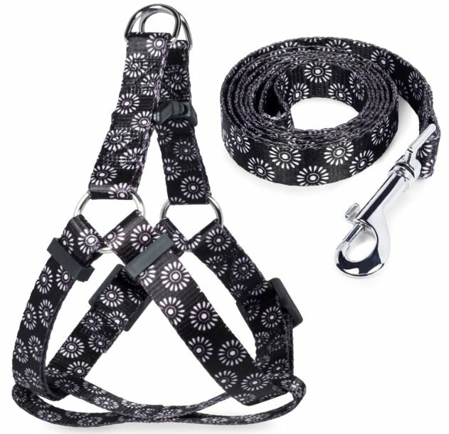 Triol Комплект шлейка 1*26-35см и поводок 1*120см, "Графит"