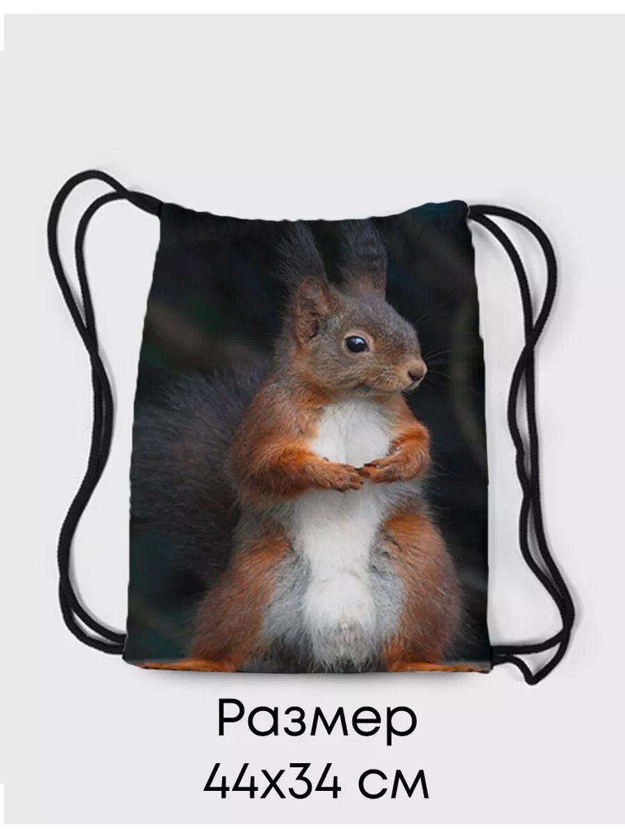 Мешок - сумка для обуви Белка — фото 1