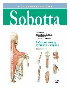 Sobotta. Таблицы мышц, суставов и нервов