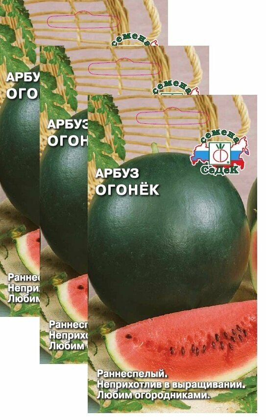 Семена арбуза СеДек "Огонек", раннеспелые, устойчивость к болезням, 3 упаковки по 1 г
