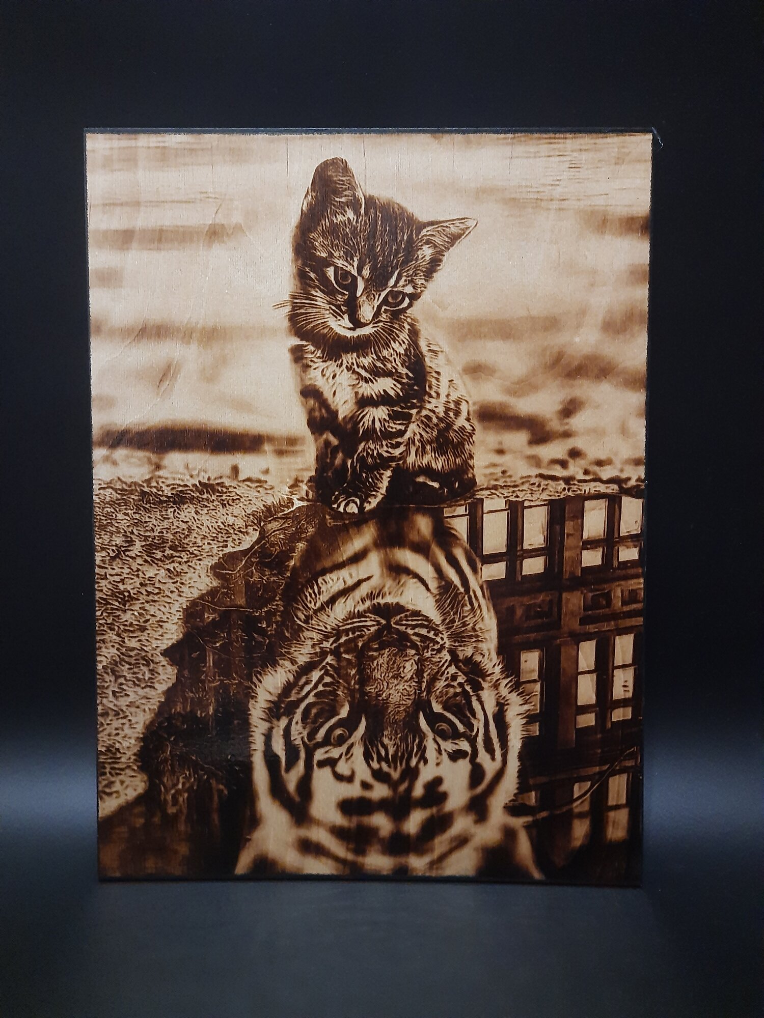 Картина на дереве " отражение" выжженная картина на дереве в формате А3 30×40 см