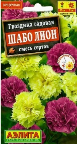 Гвоздика садовая Шабо Лион ( 3 упаковки ), смесь окрасок