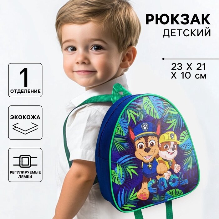 Рюкзак детский Paw Patrol Щенячий патруль, для мальчика, 23х21х10 см (Рюкзак новый кожзам)
