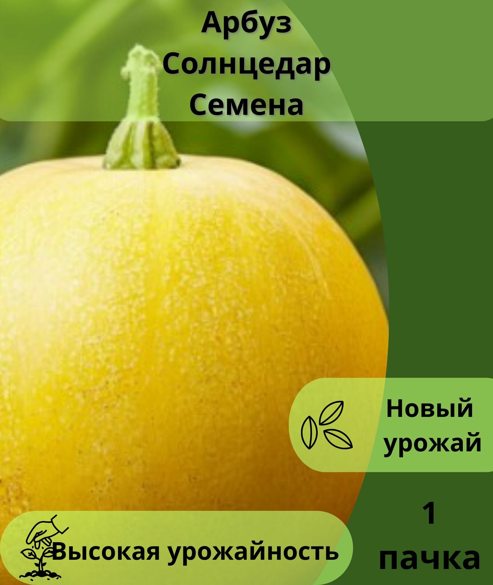 Арбуз Солнцедар, семена 10шт