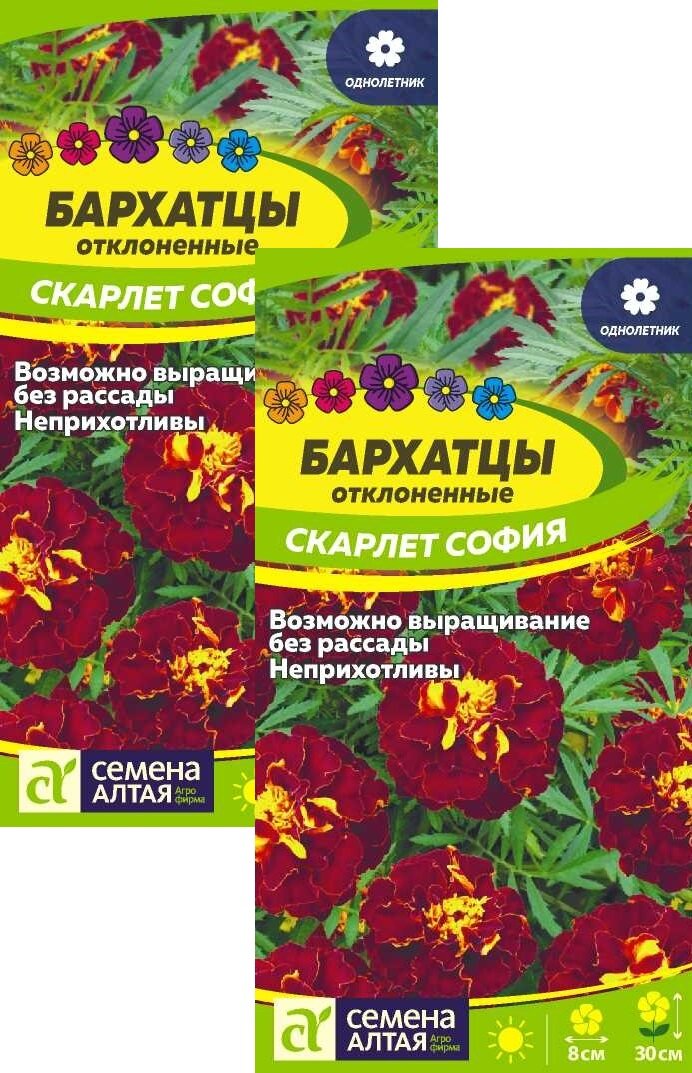 Семена Алтая Бархатцы Скарлет София махровые (0,2 г), 2 пакета