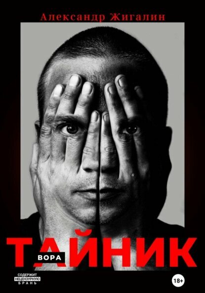 Тайник вора [Цифровая книга]