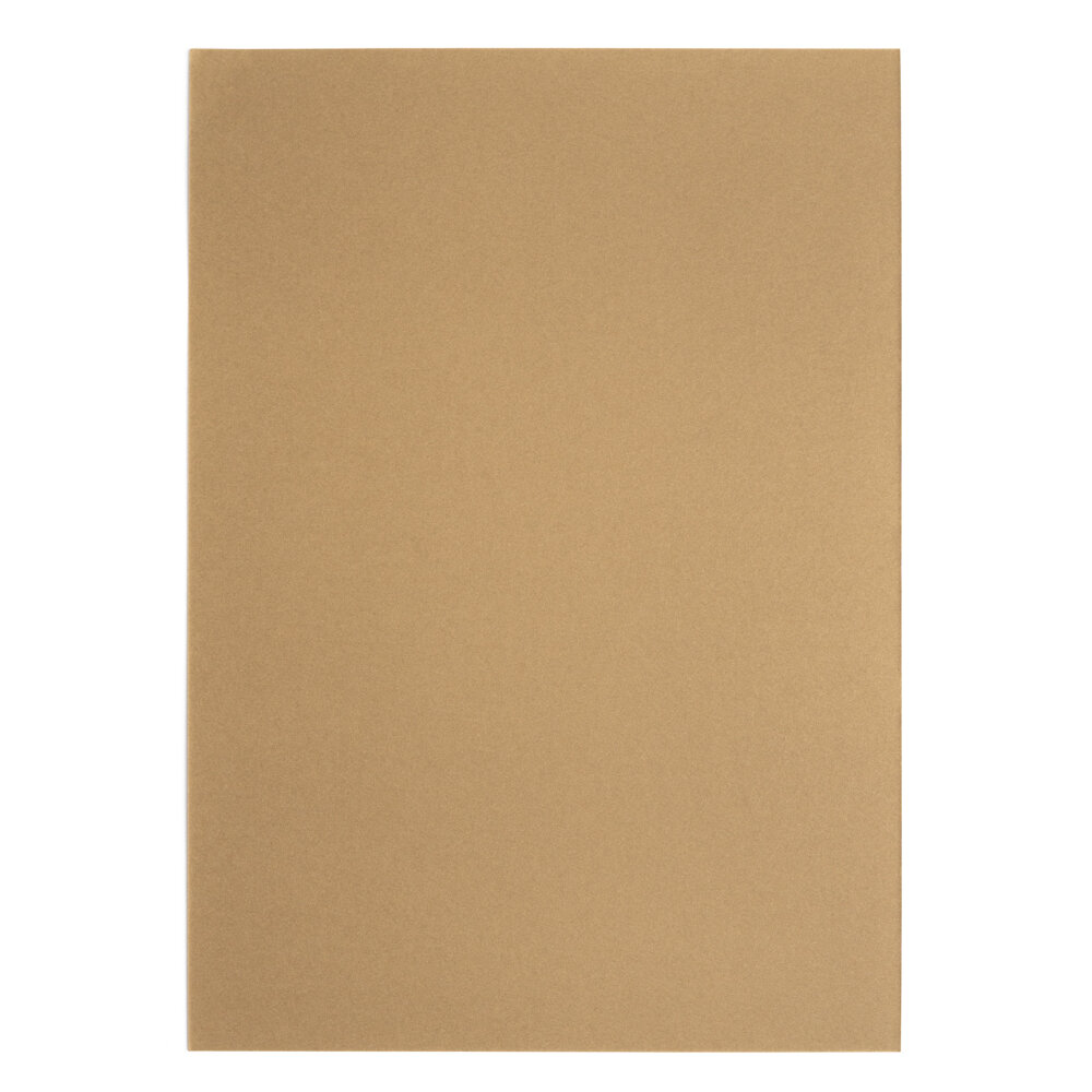 Бумага для пастели GRAFART 270г/кв. м (А4) 210х297мм цв.№731 бежевый