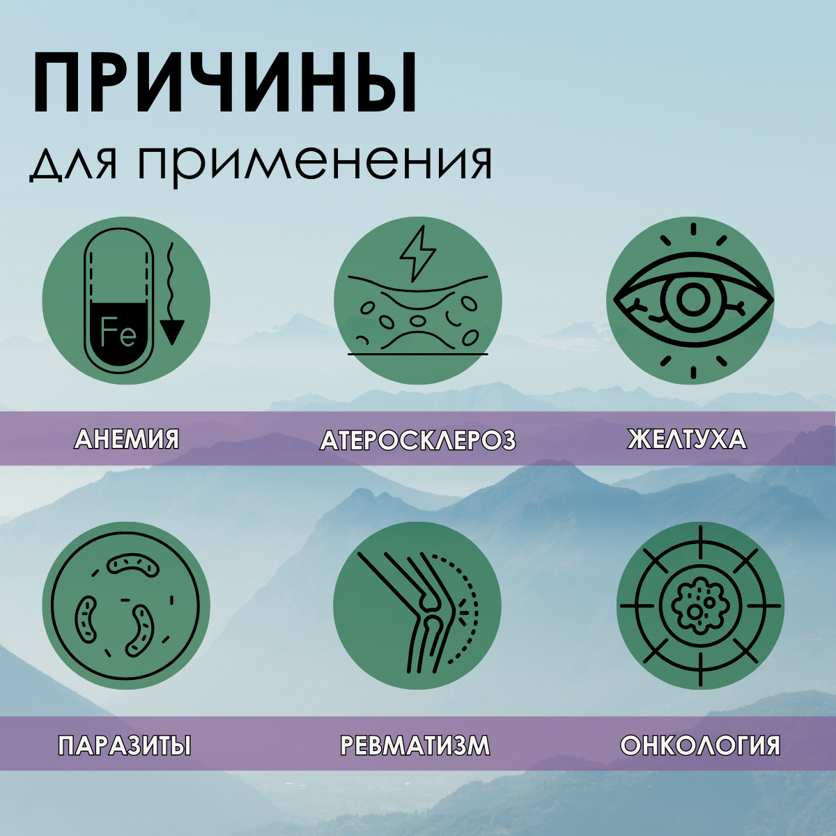 Сок свербиги Фито-Аптекарь, пищевая добавка для здоровья, для взрослых, антипаразитарный, при диабете 250мл — фото 1