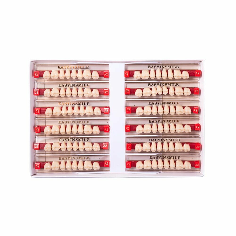 Модель зубов Easyinsmile 16/12 комплектов A2 Upper Posterior M