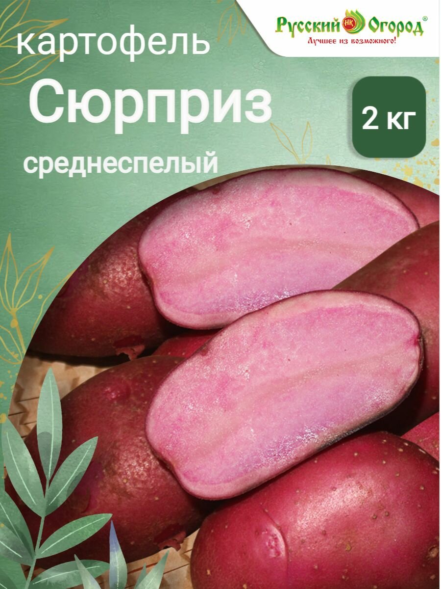 Картофель семенной Русский огород "Сюрприз" для диетического питания, розовый, 2 кг