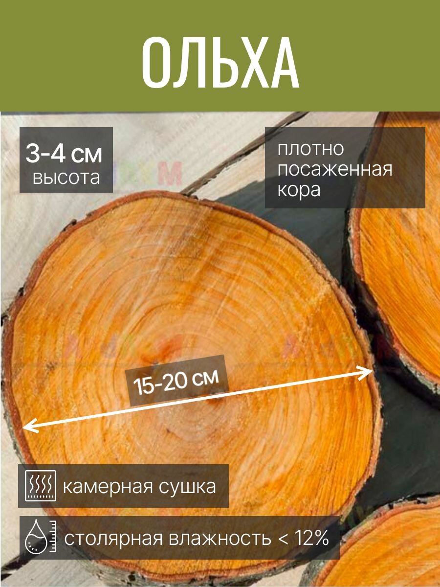 Спил дерева, Ольха 15-20 см , срезы, для декора и творчества, деревянные заготовки