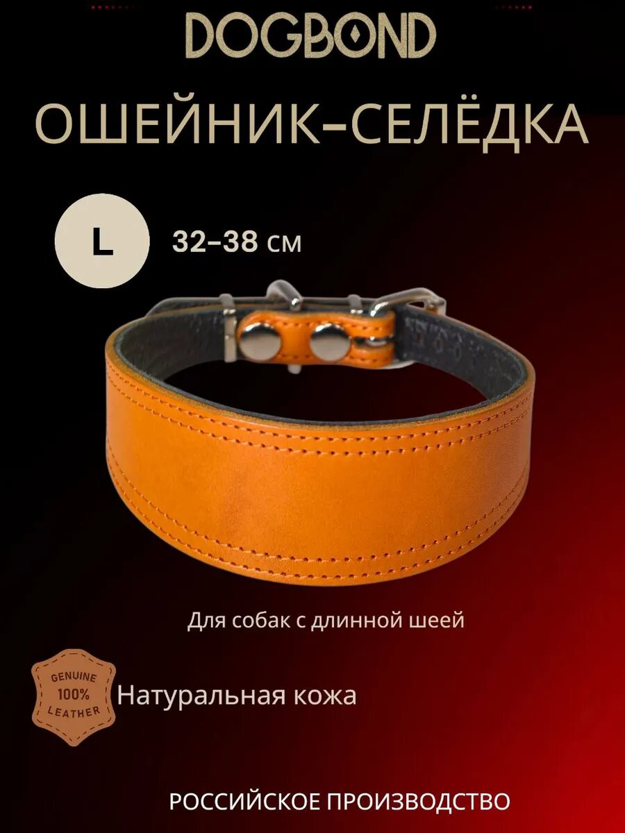 Dogbond ошейник-селедка для малых и средних пород