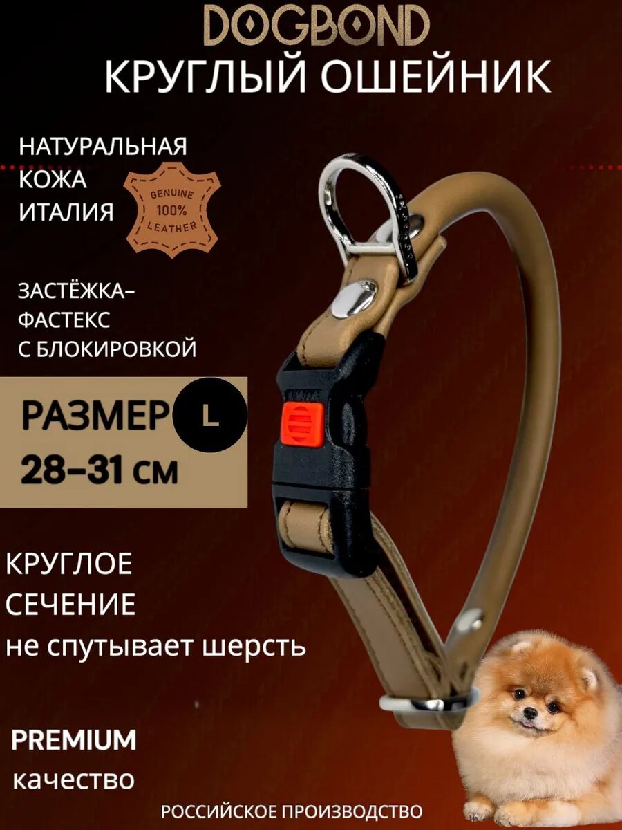 Dogbond Ошейник для шпица круглый кожаный 28-31 см