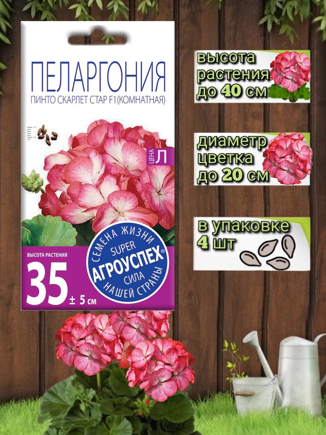 Семена комнатных цветов Агроуспех Пеларгония Пинто Скарлет Стар
