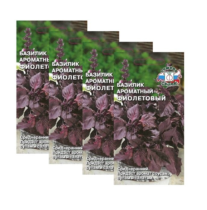 Семена Базилик Ароматный фиолетовый 0,2 г (Седек) , 4 пакетика *0,2 г