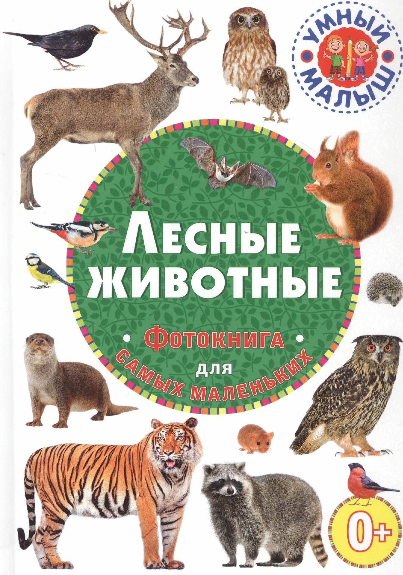 Лесные животные. Фотокнига для самых маленьких