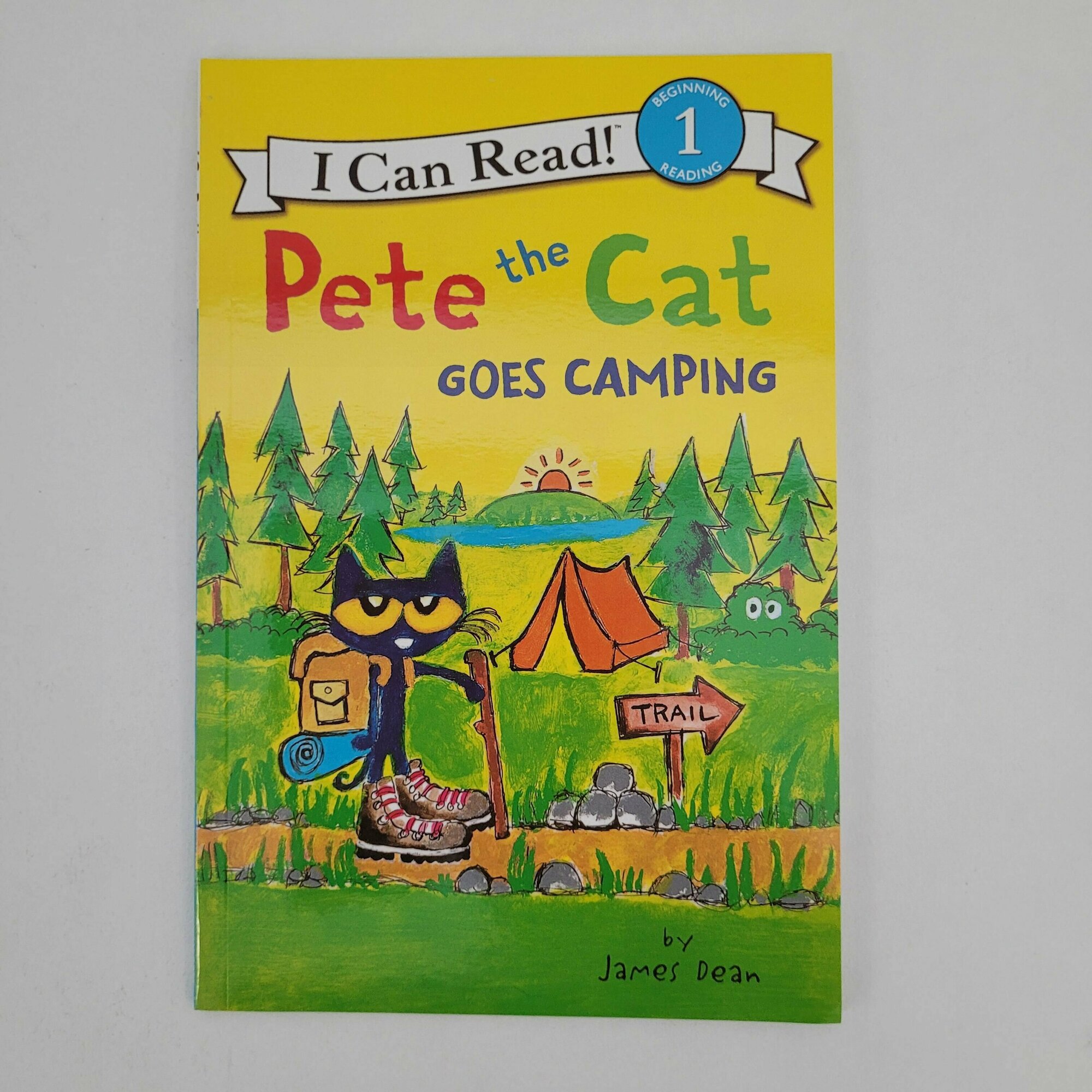 Pete the Cat goes camping. I Can Read.