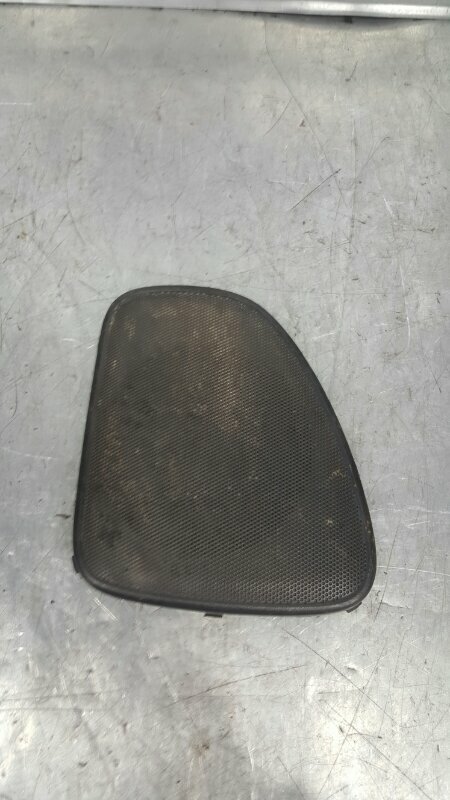 Накладка двери Chery Amulet A15 SQR480 2003 перед. лев. (б/у) A156102551