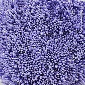 Тычинки декоративные 0,1 см 1/4200 шт №21 сиреневый