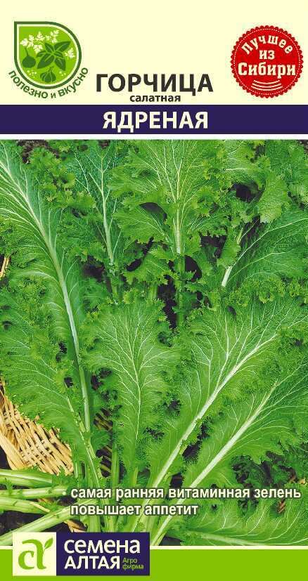 Семена горчицы салатной "Ядреная" 10 упаковок по 0,5 гр - обеспечит вас свежей зеленью на протяжении всего сезона.