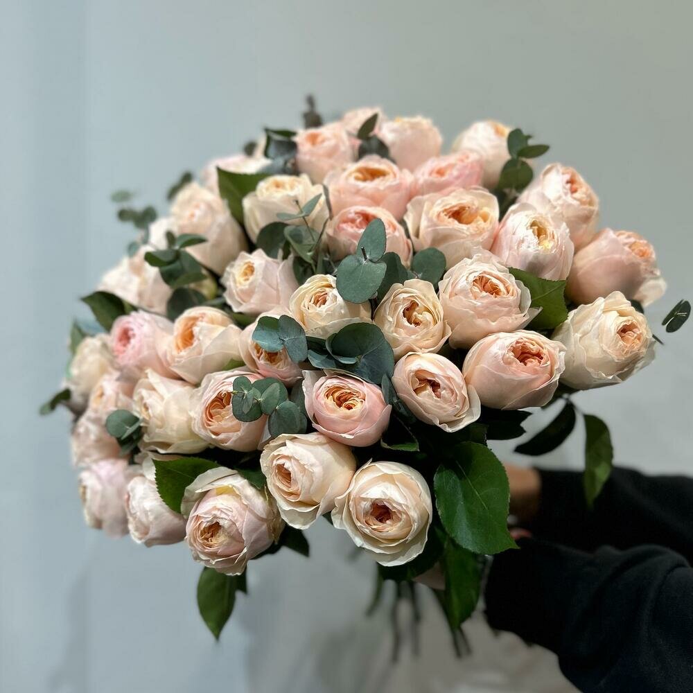 Букет Protea "Пионы", XL, 51 роза, аквабокс, ленточный бант, бежевый