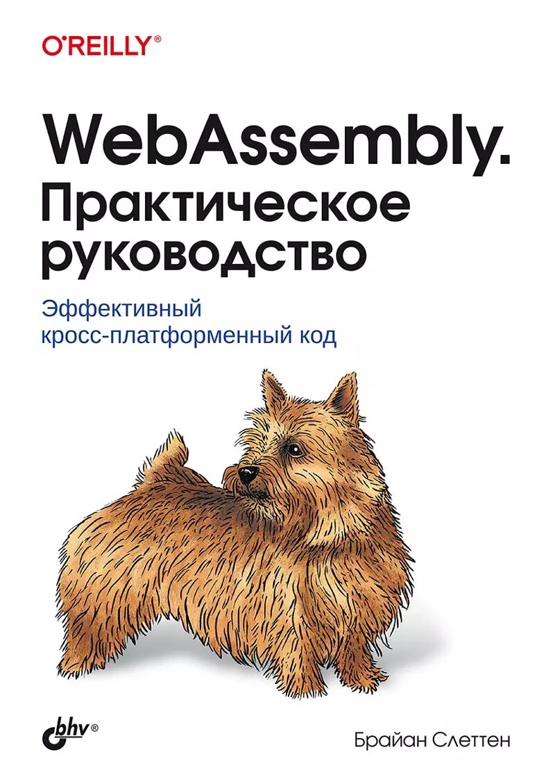 WebAssembly. Практическое руководство (Брайан Слеттен)