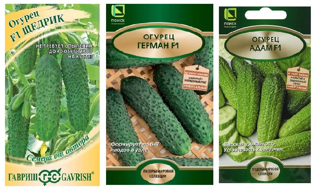Набор семян огурцов "Высший класс" (Огурцы Адам F1, Герман F1 - 5 семян, Щедрик F1)