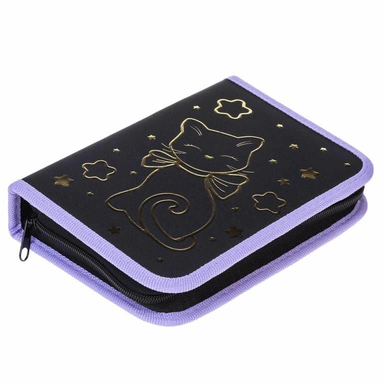 Пенал Hatber "Звездный Котик", на молнии. Цвет черный с рисунком "Котик" для девочек