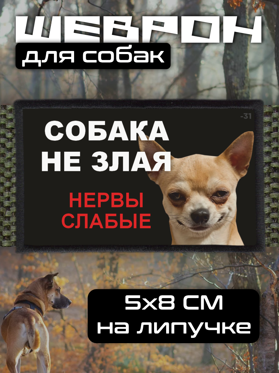 Шеврон на липучке для собак Собака не злая