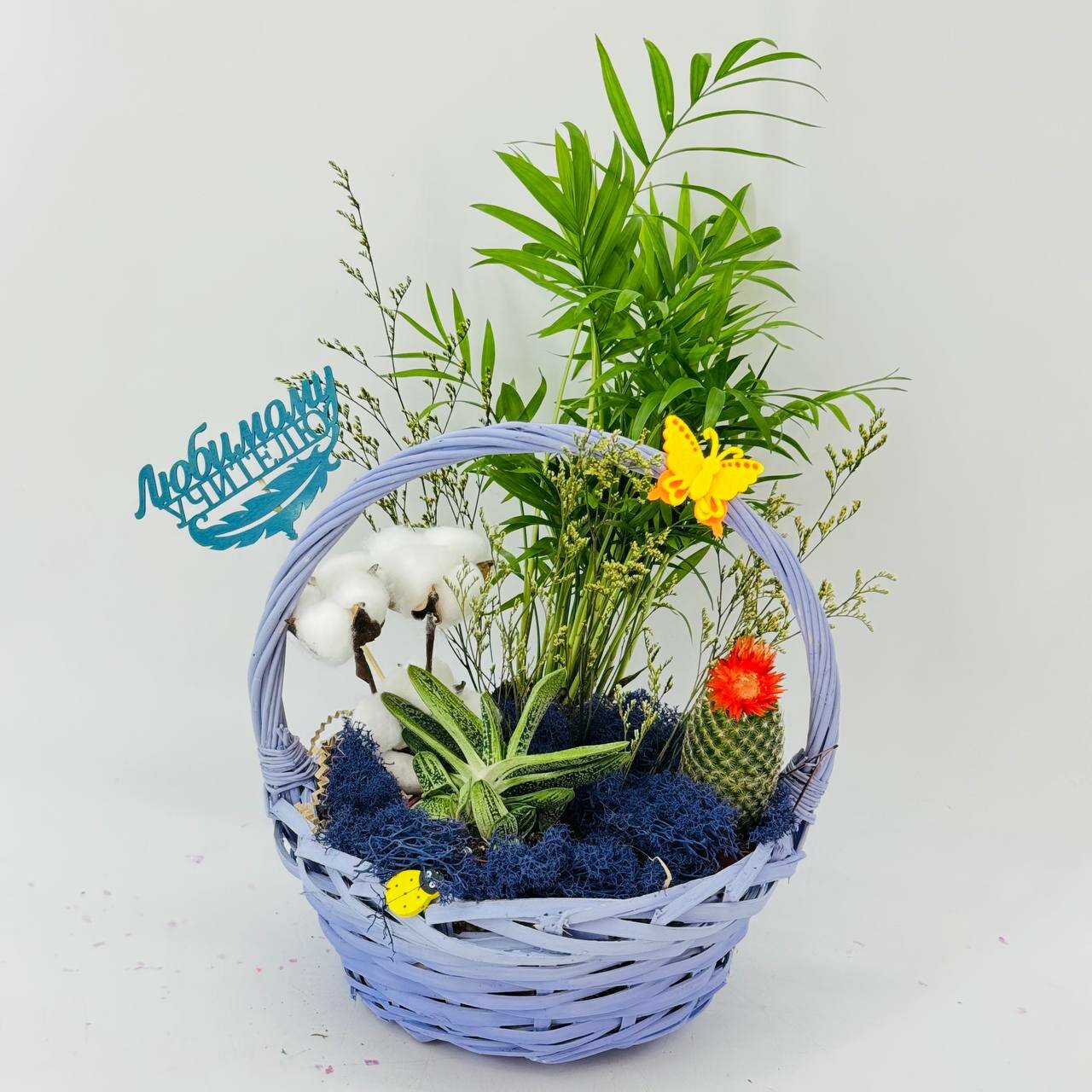 Интерьерная композиция комнатных растений в корзине. Мини сад. Подарок учителю